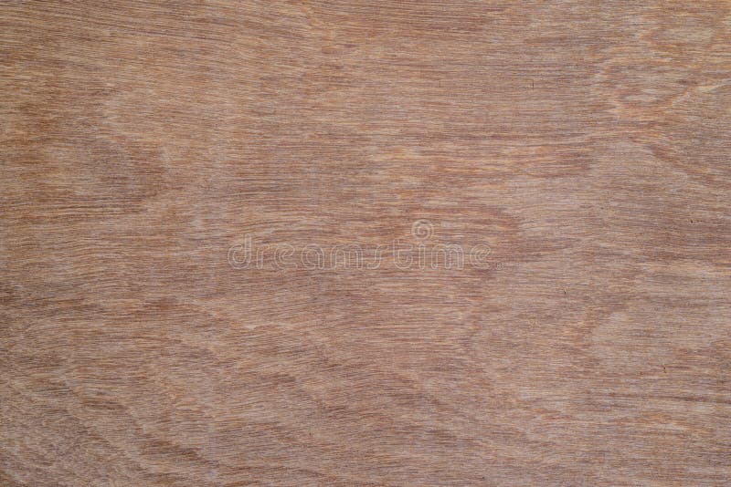 Sliced Wooden Texture Use for Background Stock Image - Image of ...