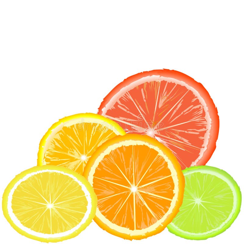 Background With Citric Fruits Stock Vector - Illustration of graphic ...