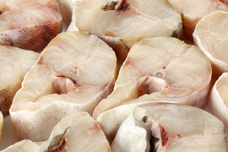 Slices of fish stock image. Image of seasoning, closeup - 22309979