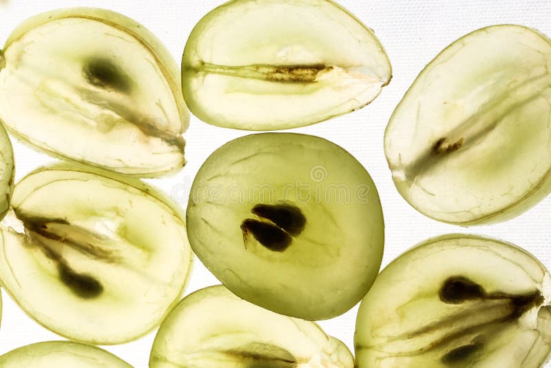 Slices of grapes stock image. Image of tasty, fruit, circle - 46682919