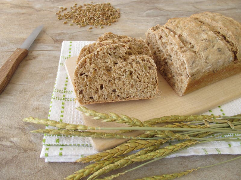 Unripe spelt grain stock photo. Image of grain, diet - 20533062