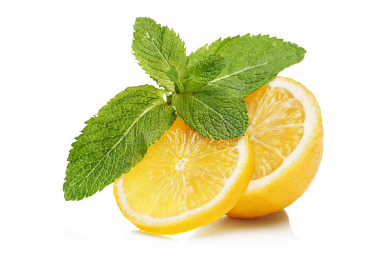 Slices of lemon and mint stock photo. Image of fresh - 20053540
