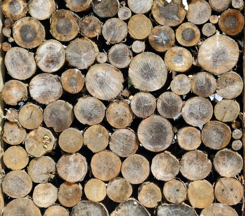 Slices of Logs, a Stack of Wood. Stock Photo - Image of cuts, fuel ...