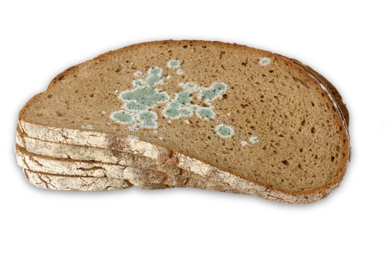 3,852 Moldy Bread Stock Photos - Free & Royalty-Free Stock Photos from ...