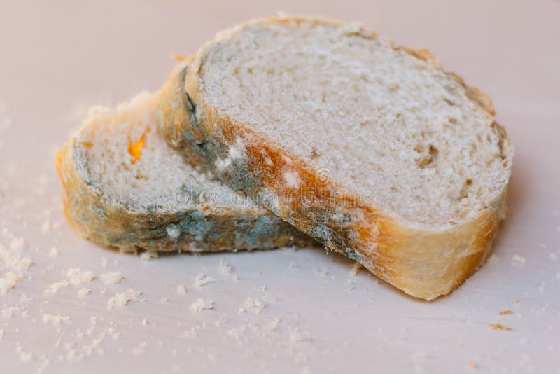 Slices of Moldy Bread on Light Background. Food Not Suitable for ...