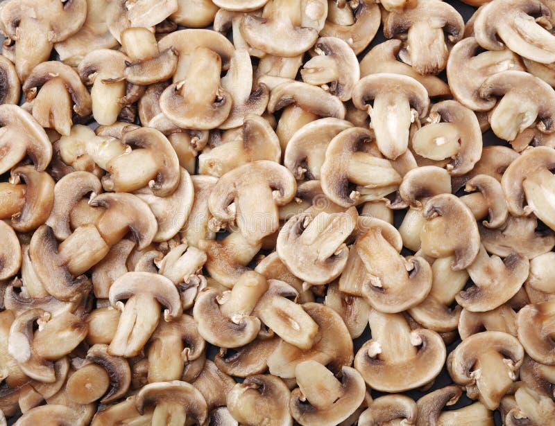 Slices of mushrooms. stock photo. Image of cook, delicious - 19835698