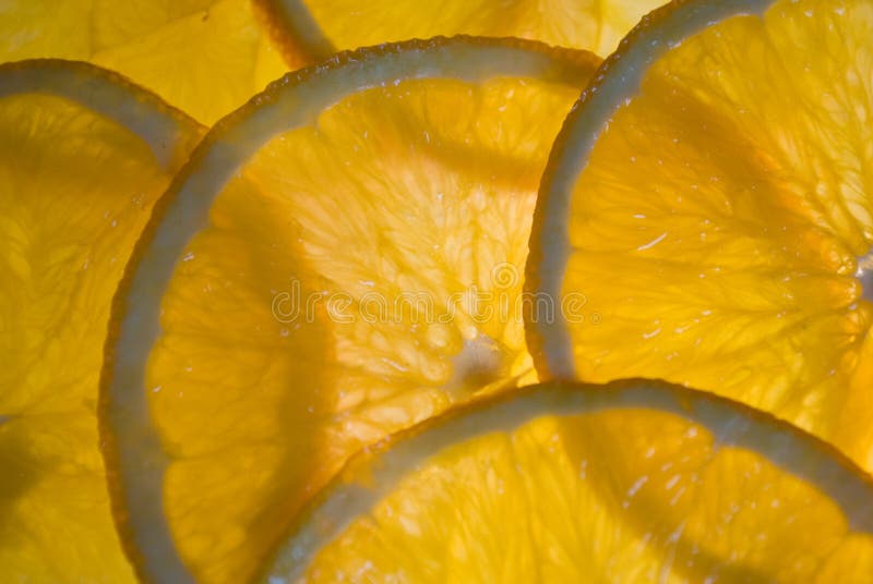 Lemon anatomy stock image. Image of citron, juice, anatomy - 165815