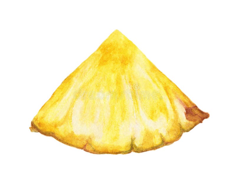 Watercolor Pineapple Slice Stock Illustrations – 989 Watercolor Pineapple Slice Stock ...