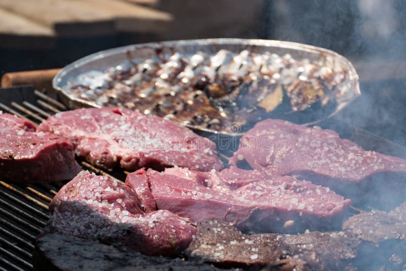 Raw Salted Meat on a Barbecue Grill Stock Photo - Image of salt ...