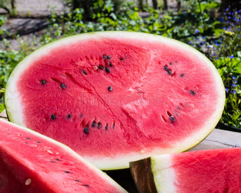 Slices of Red Watermelon with Seeds Stock Image - Image of fresh ...