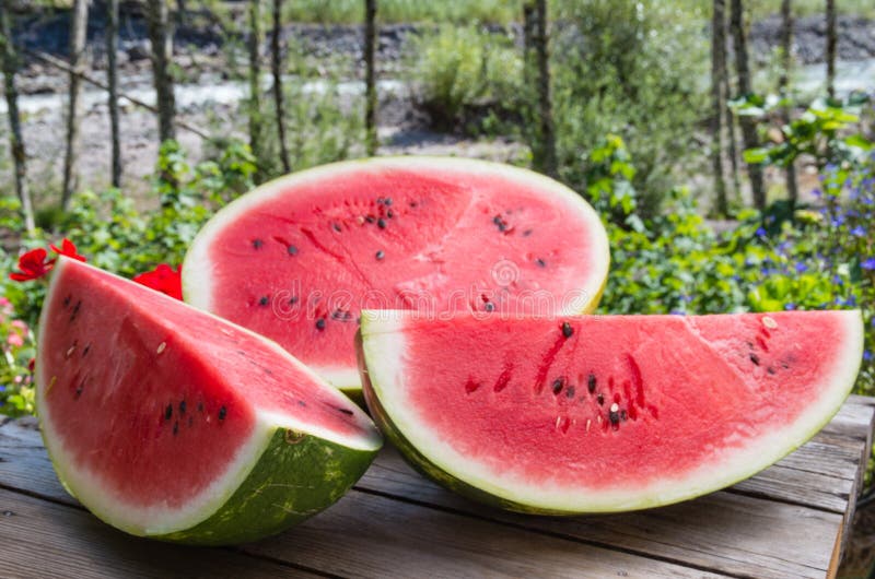 Slices of Red Watermelon with Seeds Stock Image - Image of harvested ...