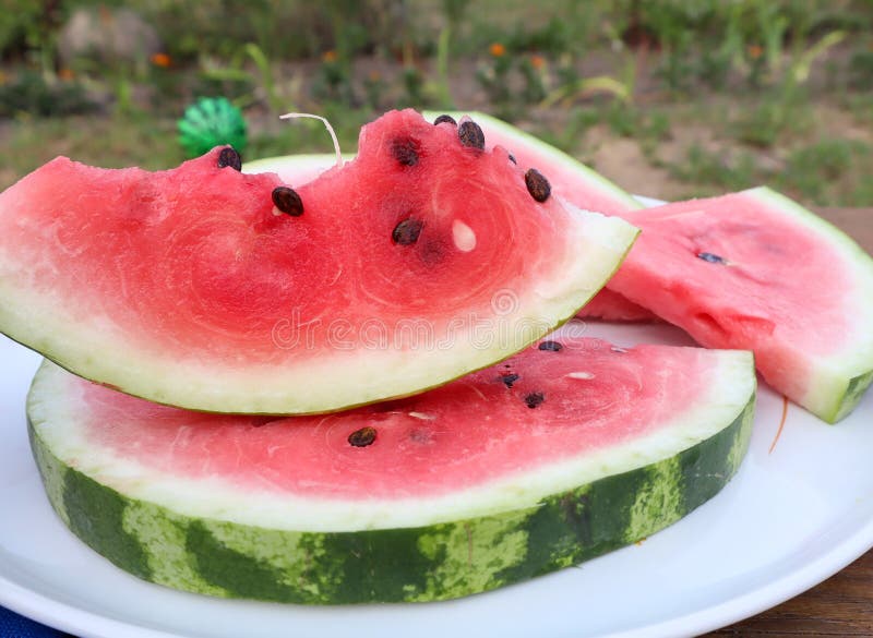 Side View Watermelon Tray Stock Photos - Free & Royalty-Free Stock ...