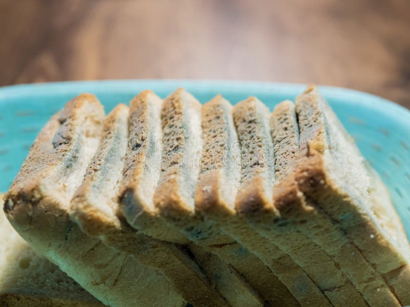 Slices of Spoiled Bread. Moldy Bread Cut into Pieces Stock Photo ...