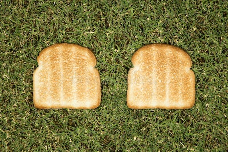 Slices of toast on grass. stock image. Image of plain - 2052145