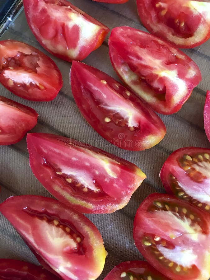 Slices of Tomatoes are Laid Out on a Baking Sheet. Preparation for ...