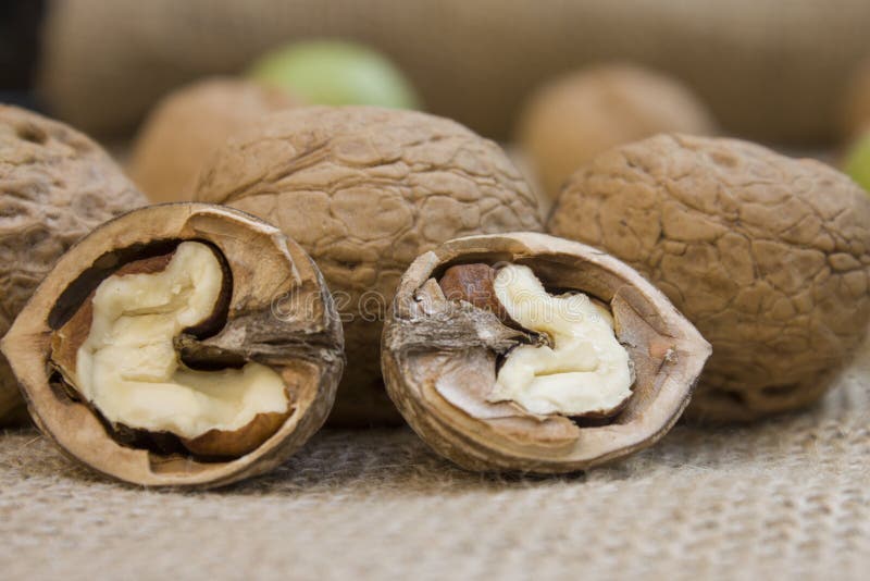 Slices of Walnut in the Pile with All Stock Photo - Image of autumn ...
