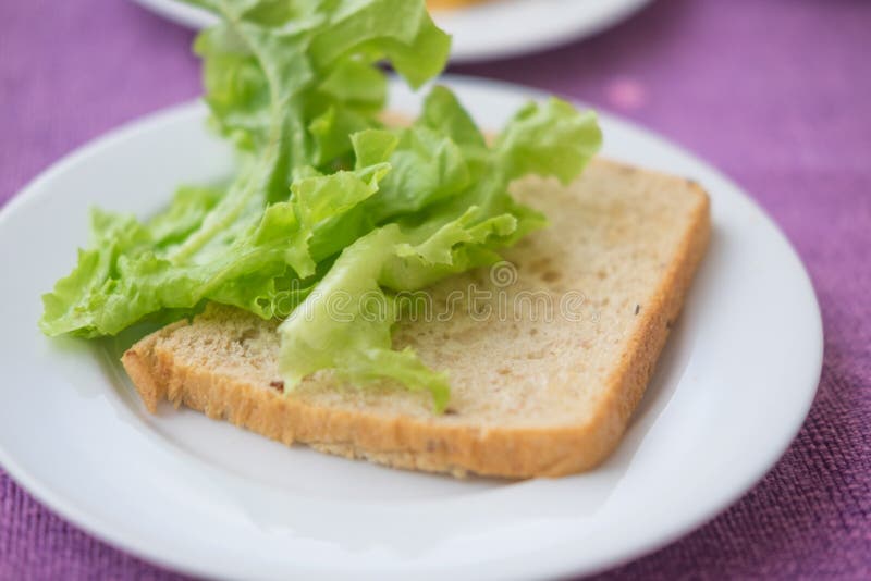 Slices of Whole Grain Bread and Green Oak Lettuce Stock Image - Image ...