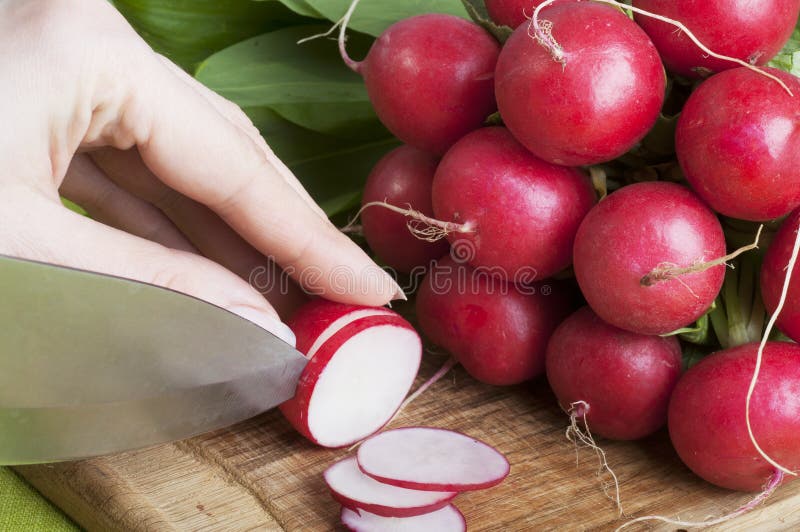 Slicing radish stock photo. Image of preparation, board - 37105016