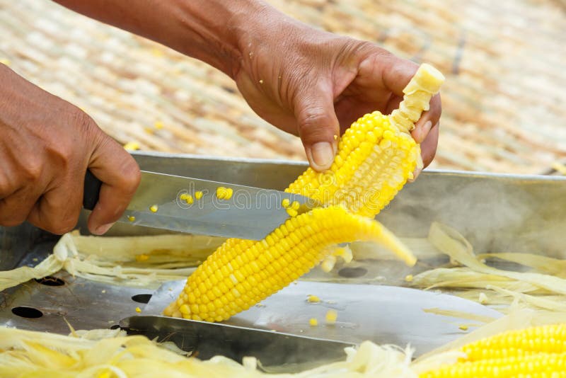 Steamed corn on a cob stock image. Image of manila, asia - 39795289