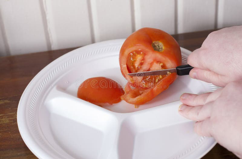 Tomato on a foam tray stock photo. Image of nature, fruits - 42187342