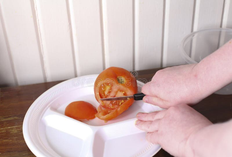 Tomato on a foam tray stock photo. Image of nature, fruits - 42187342