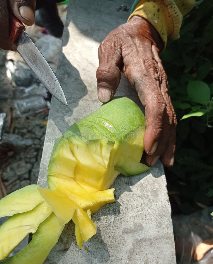 Slicing Young Mango Fruit Still Fresh from the Tree Stock Image - Image ...