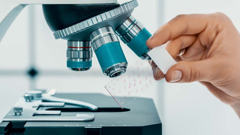 Slide with Biopsy Slice in Medical Laboratory Stock Photo - Image of ...