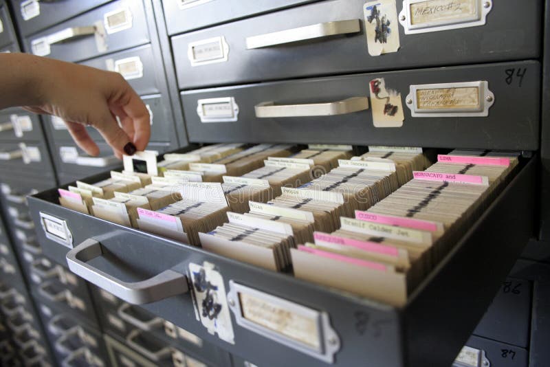 Slide collection stock photo. Image of organization, collection - 2931812