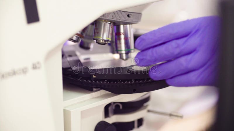 Slide Glass Under the Light Microscope Lens Stock Footage - Video of ...