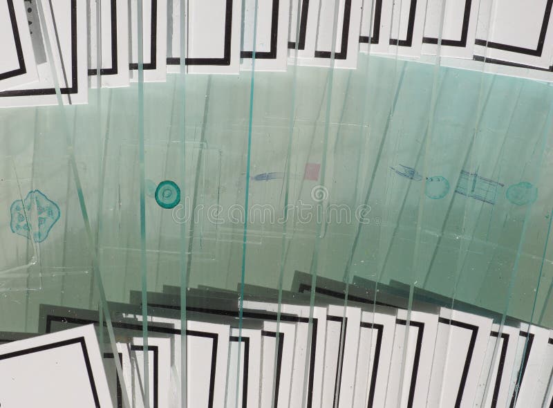 Slide for Optical Microscope Stock Image - Image of macro, specimen ...