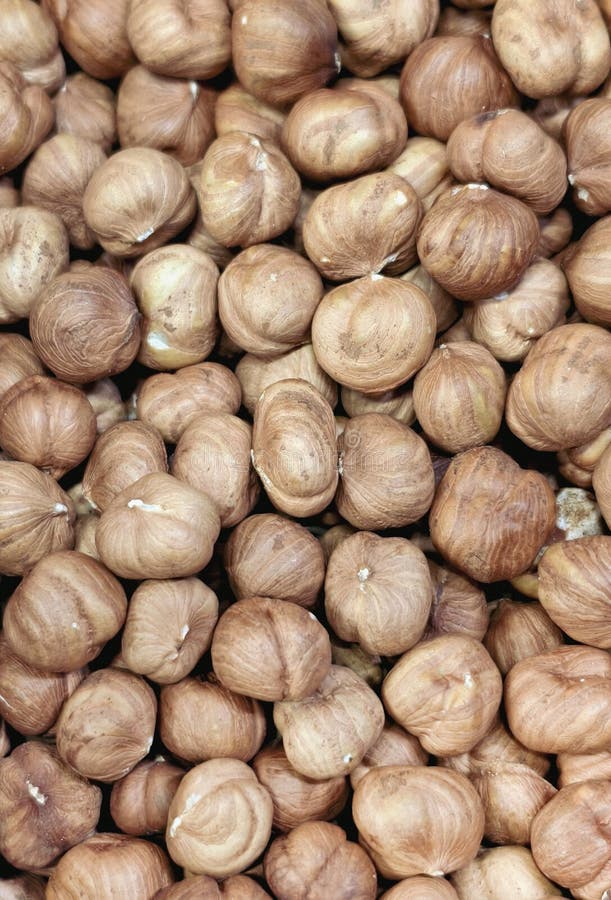 A Slide of Peeled Hazelnuts, As a Natural Background View from Above ...