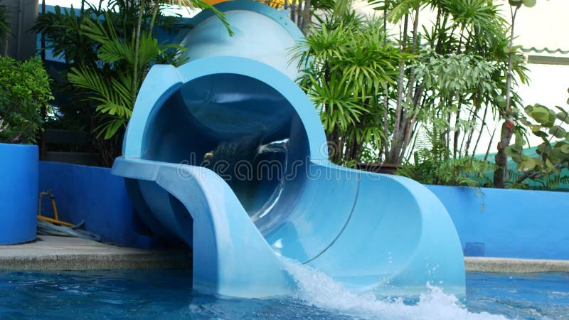 Slide in the Water Park, the Girl Has Fun in the Pool Stock Video ...
