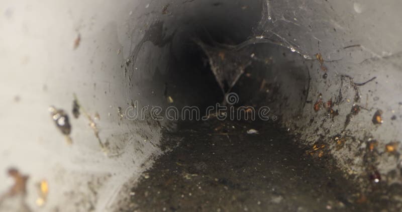 Sliding Inside Dirty Plastic Pvc Rainwater Drain Pipe Stock Footage ...