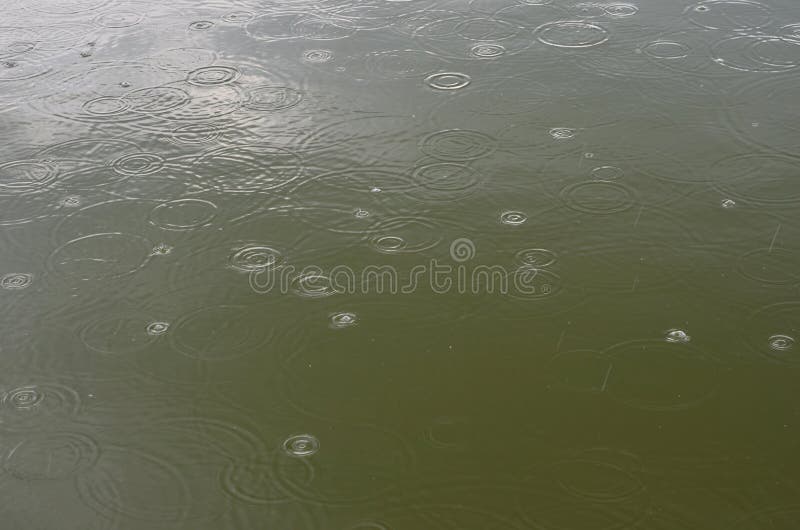 Slight Dropping Rain in the Water Stock Photo - Image of surface, black ...