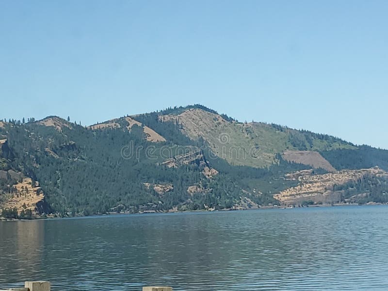 Slight Ripples on the Open Lake Viewing the Forest Stock Photo - Image ...