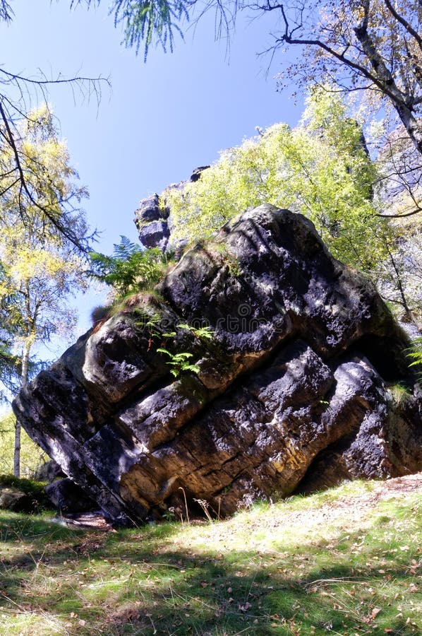 Slightly Bended Rock with Trees Stock Photo - Image of landscape ...