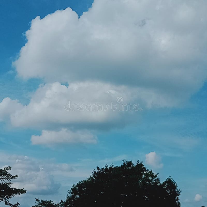 Slightly Cloudy White Clouds with Trees on a Sunny Afternoon Stock ...
