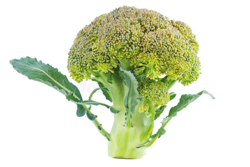 Slightly Overripe Broccoli Cabbage Stock Photo - Image of vegetable ...