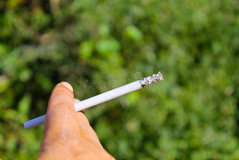 Slim cigarette in hand stock photo. Image of health, cancer - 78269160