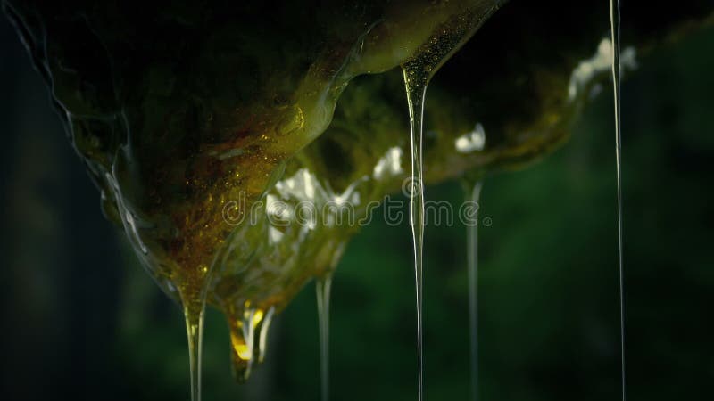 Slimy Alien Growth in the Woods Stock Video - Video of nest, aliens ...