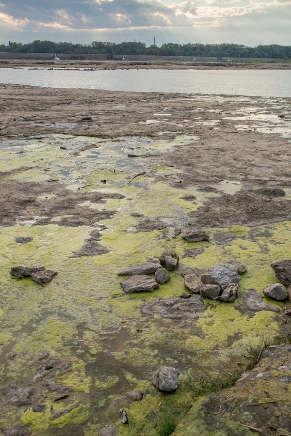 Slimy Tide Pools stock photo. Image of rocky, water, field - 88930294