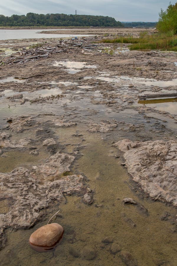 Slimy Tide Pools stock photo. Image of tide, field, ohio - 88940946