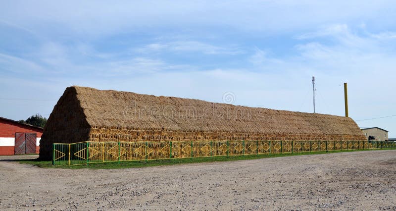Slings of Pressed Straw in a of Pressed Straw in a Pick Stock Photo ...