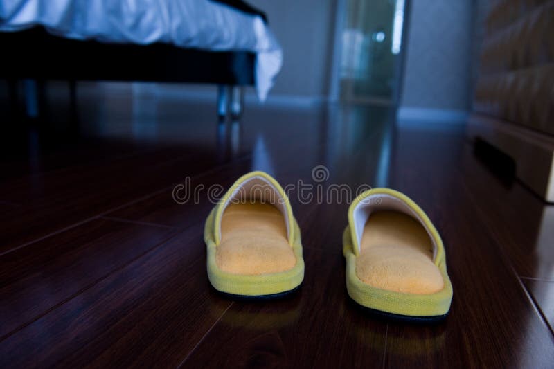 Slippers stock photo. Image of footstep, footwear, object - 21591586