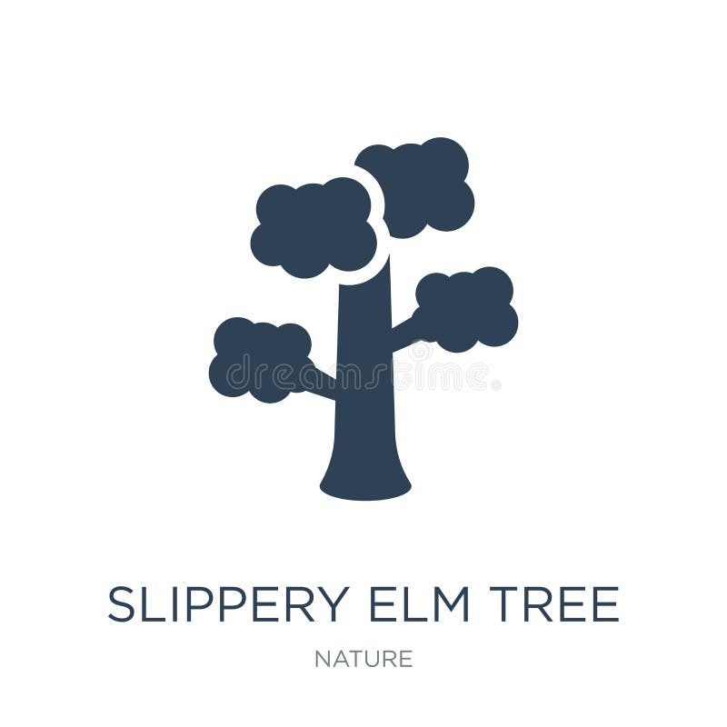 Slippery Elm Tree Icon in Trendy Design Style. Slippery Elm Tree Icon ...