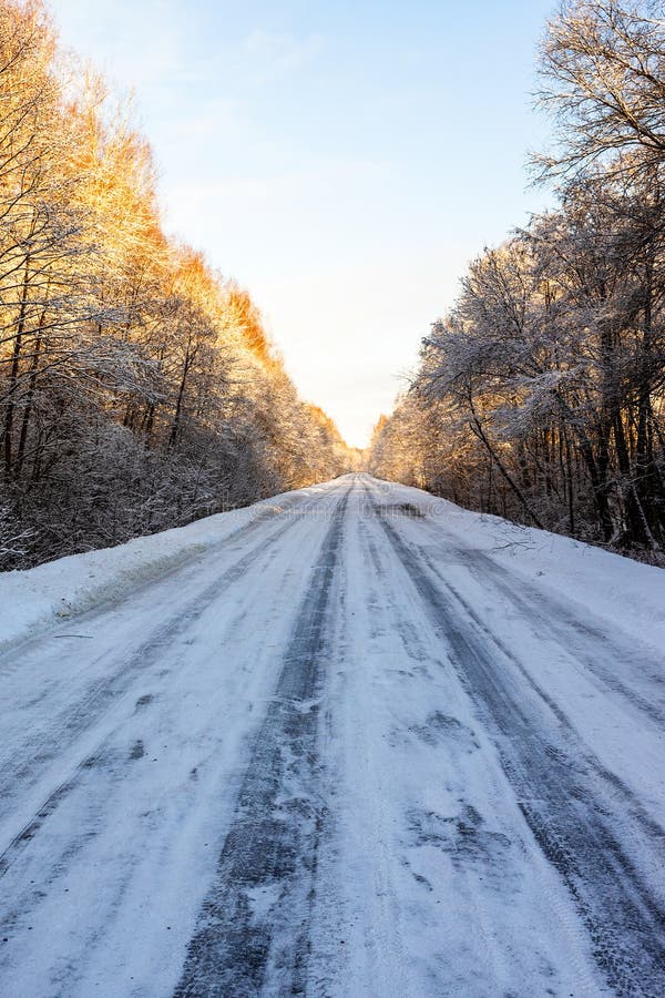 Slippery Iced Road in Forest at Sunny Winter Day Stock Image - Image of ...