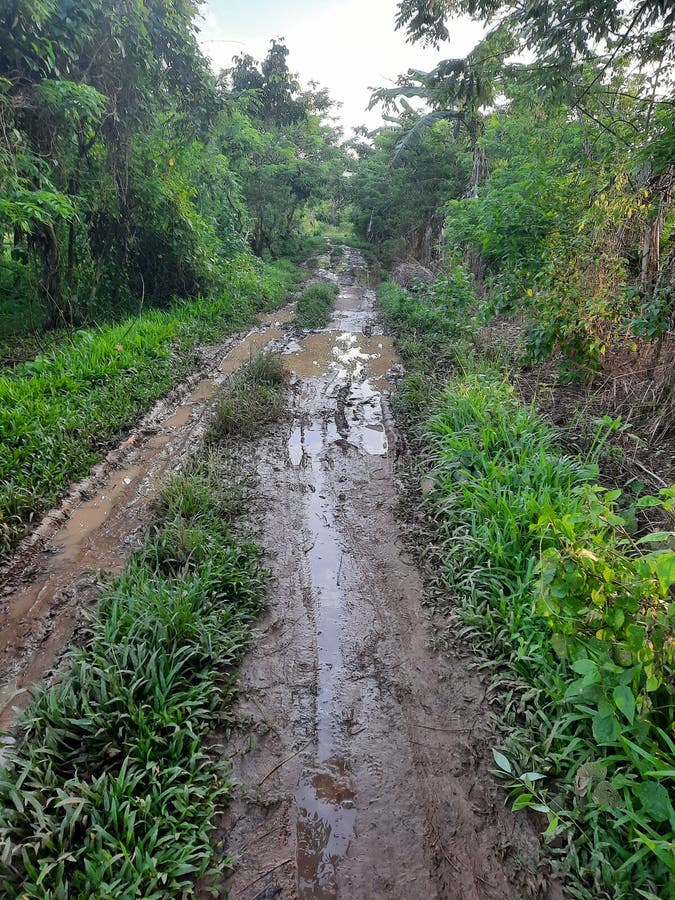 Long Muddy Trail Bike Road with Best Climate Stock Image - Image of ...