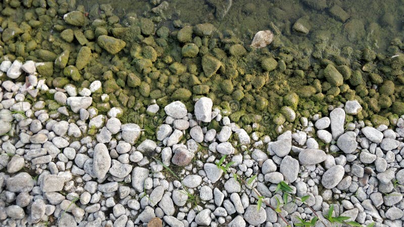 Sliver green rocks stock photo. Image of rocks, river - 138254186