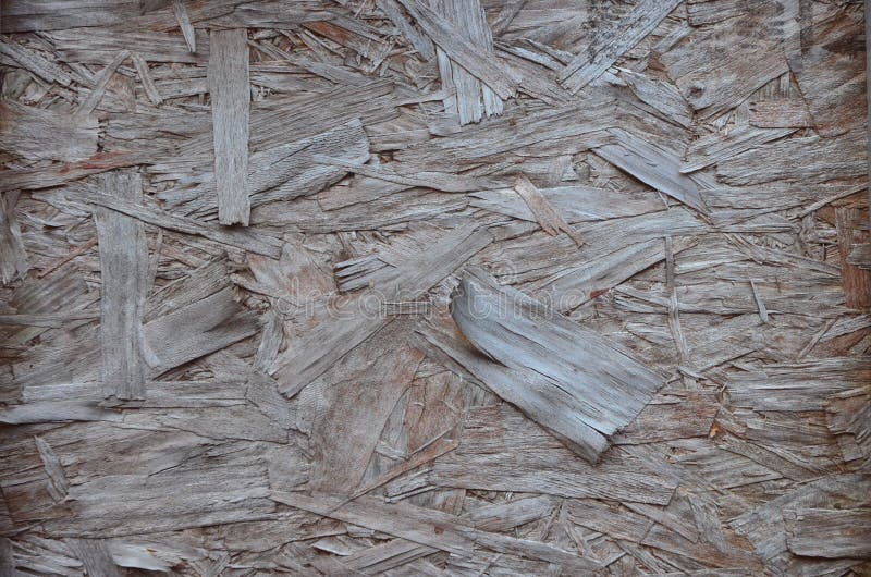 Sliver wood stock image. Image of splinter, brown, scrap - 95573635
