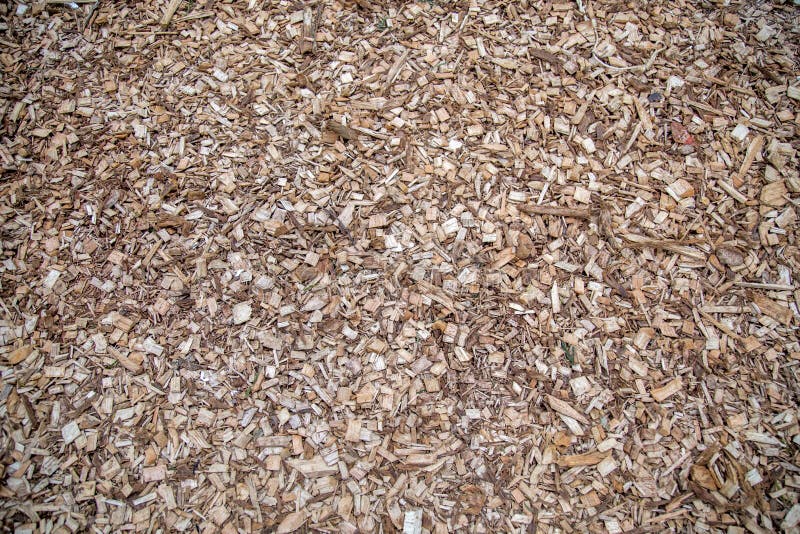 Sliver wood stock image. Image of splinter, brown, scrap - 95573635